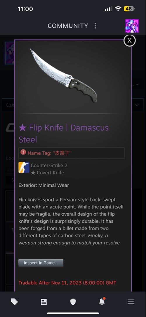 CS2 Flip Knife | Damascus Steel, Video Gaming, Gaming Accessories, In ...