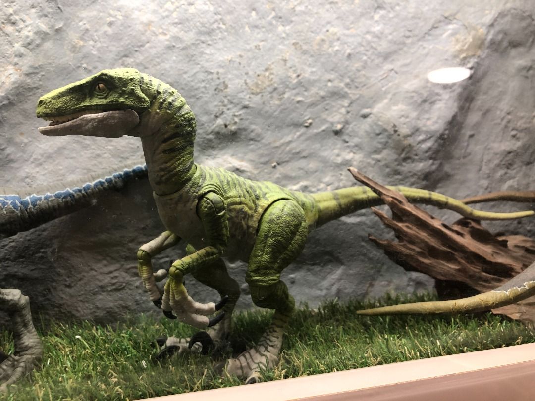 Hasbro Amber Collection Jurassic World Velociraptor Charlie, Hobbies ...