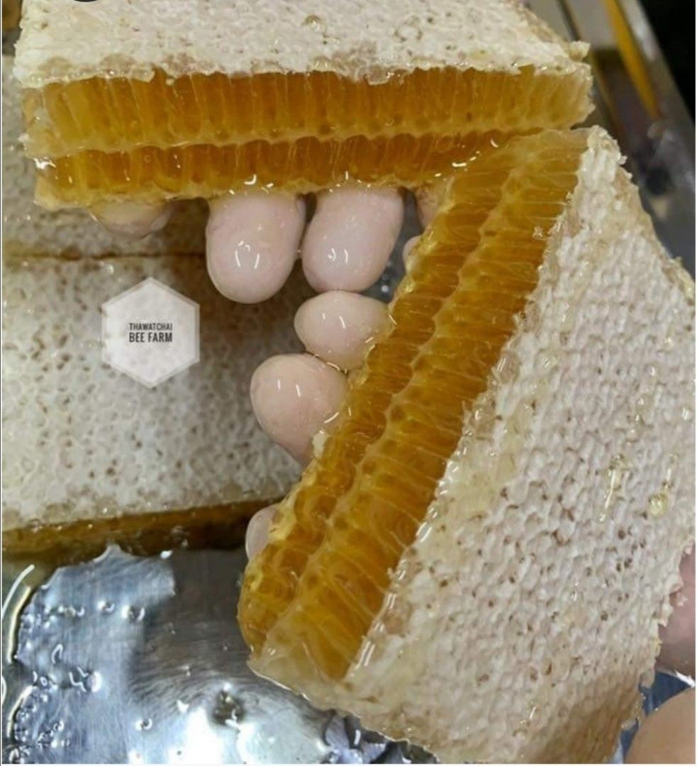 Honey comb, Food & Drinks, Packaged & Instant Food on Carousell