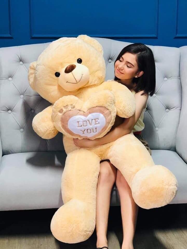 Huggable Teddy Bears, Hobbies & Toys, Toys & Games on Carousell