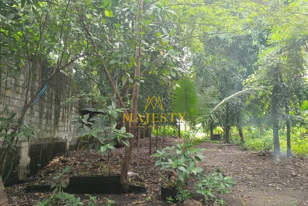 INDUSTRIAL PROPERTY FOR SALE IN BARANGAY LINGUNAN VALENZUELA CITY ...