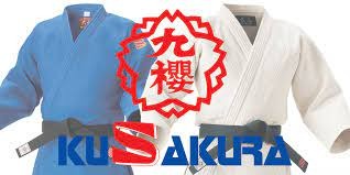 KuSakura Judo Gi, Sports Equipment, Sports & Games, Combat Sports on ...