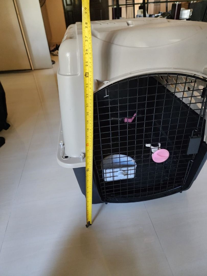 Petmate Vari Dog Kennel 36", Travel Crate / Carrier, Pet Supplies ...