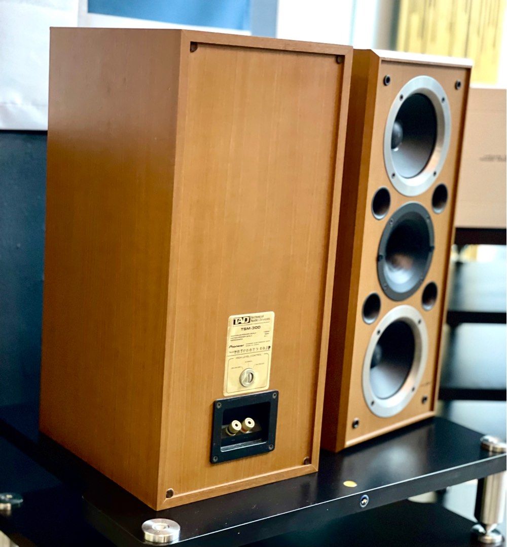TAD TSM 300 speaker, Audio, Soundbars, Speakers & Amplifiers on Carousell