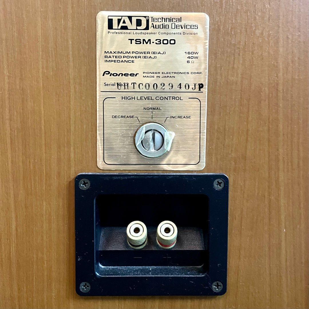 TAD TSM 300 speaker, Audio, Soundbars, Speakers & Amplifiers on Carousell