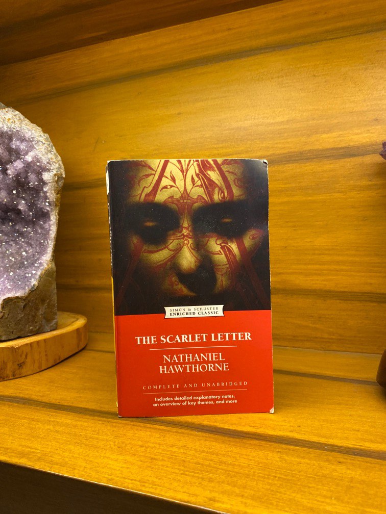 The Scarlet Letter by Nathaniel Hawthorne, Hobbies & Toys, Books ...