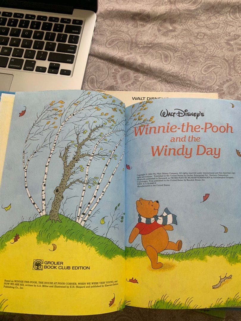 1984 Winnie-the-Pooh and The Windy Day, Hobbies & Toys, Books ...