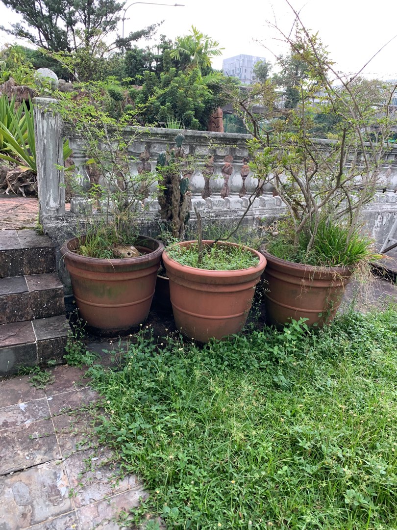 4 x hugh pots for free to good homes, Furniture & Home Living ...