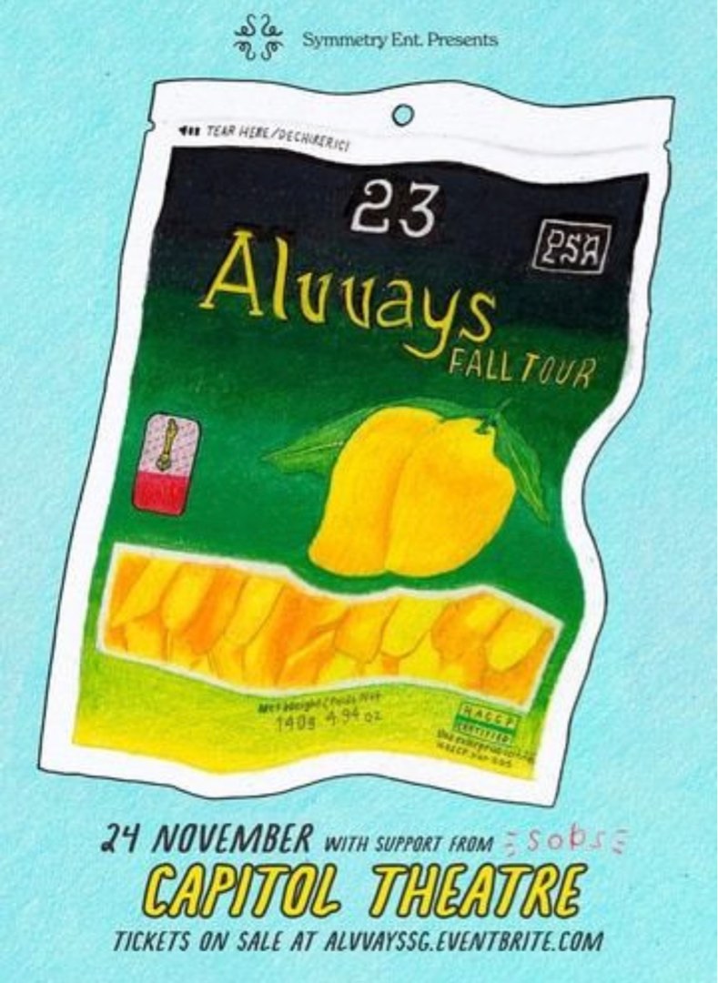 Alvvays cat 1 standing ticket x1, Tickets & Vouchers, Event Tickets on ...