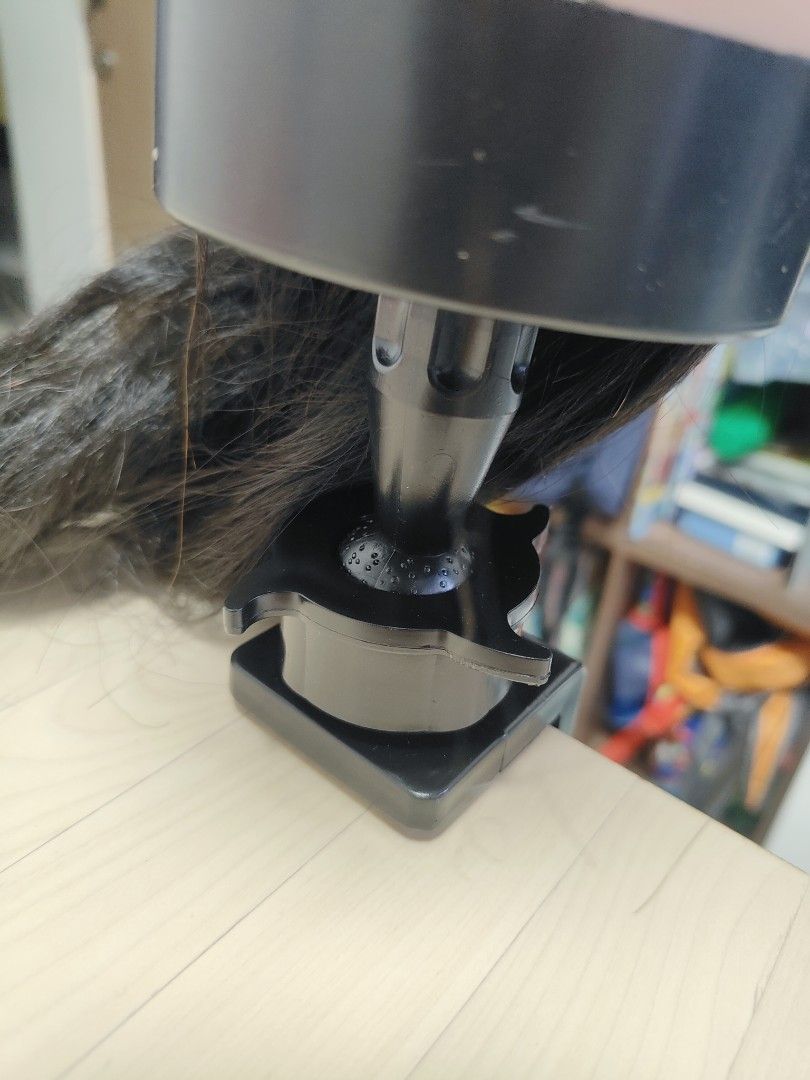 Fake Head Hair Model, Beauty & Personal Care, Hair on Carousell