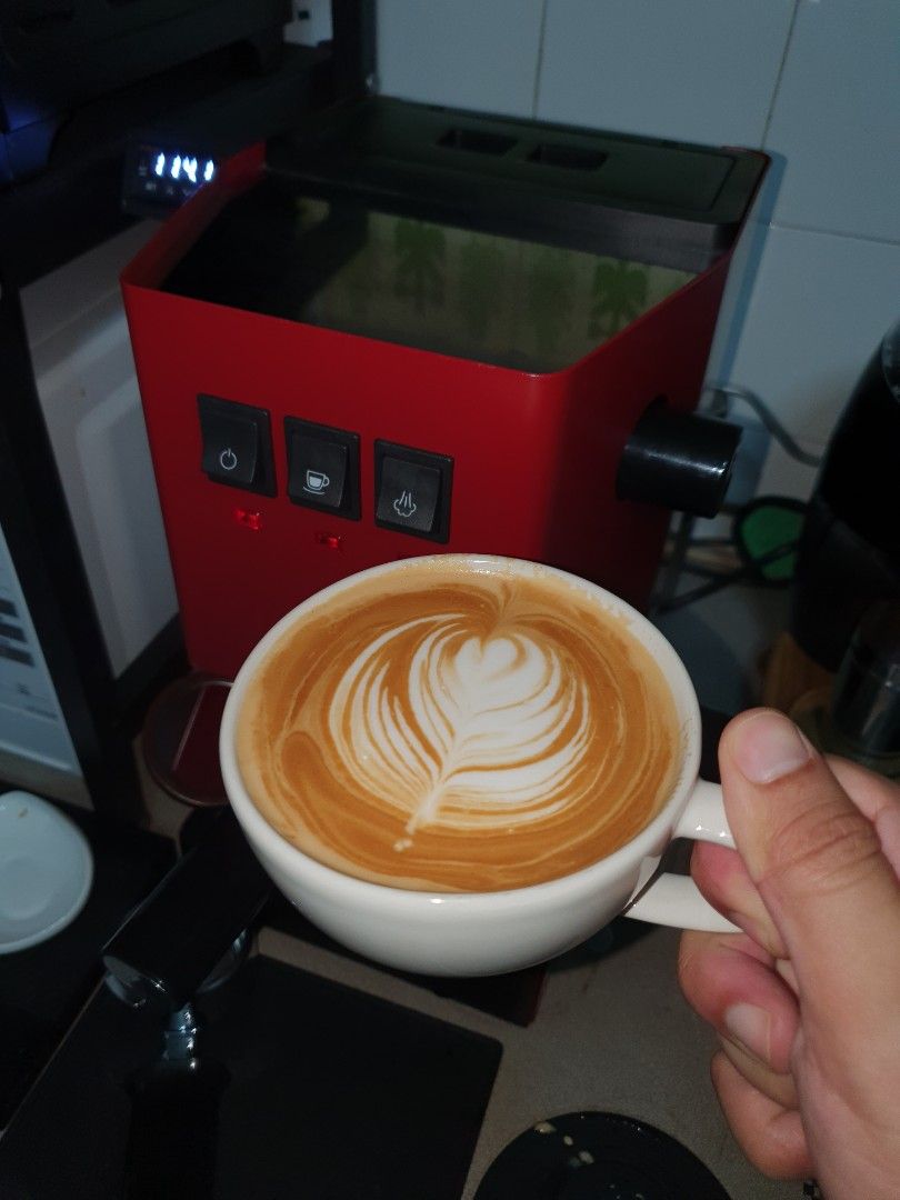 Gaggia Classic Pro w/ Auber PID, TV & Home Appliances, Kitchen ...