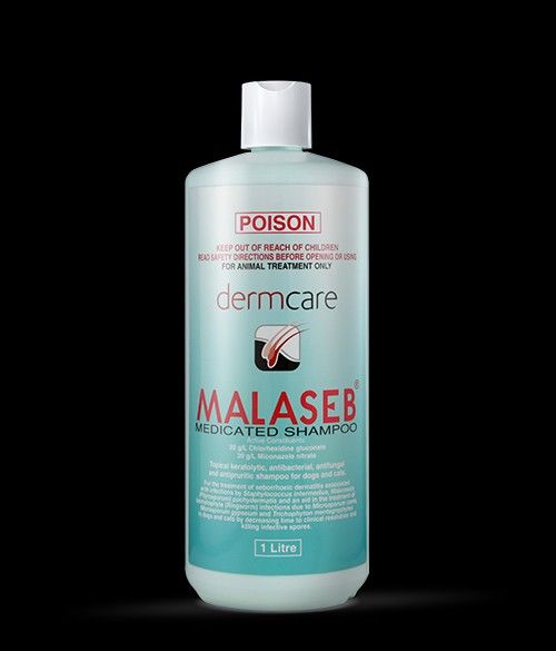 Malaseb Medicated Shampoo (1 litre), Pet Supplies, Health & Grooming on ...