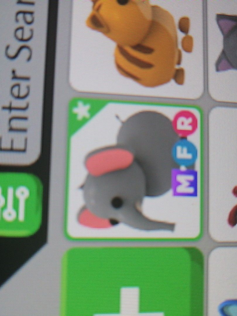 MFR ELEPHANT adopt me ( cheap), Video Gaming, Gaming Accessories, In ...