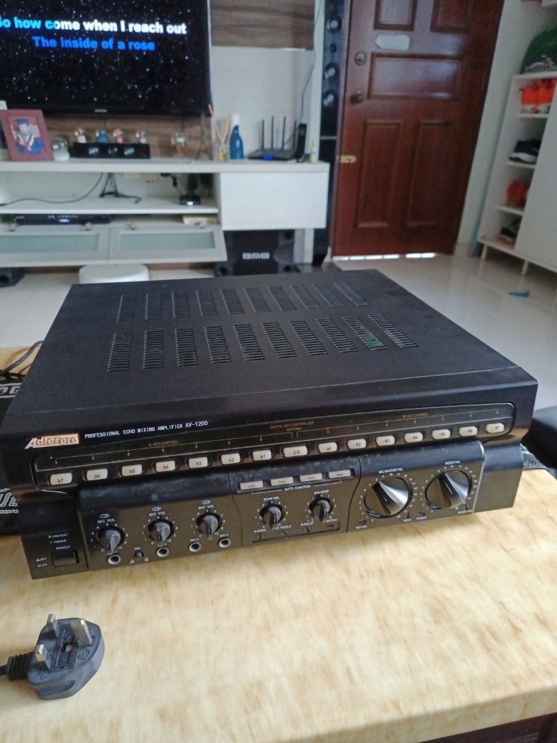 Professional Echo Mixing Amplifier AV-1200, Audio, Soundbars, Speakers ...