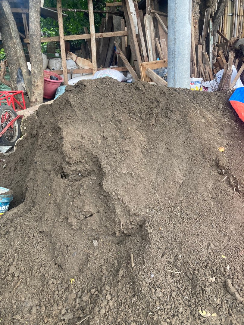 Soil (loam soil and graden soil available), Furniture & Home Living ...