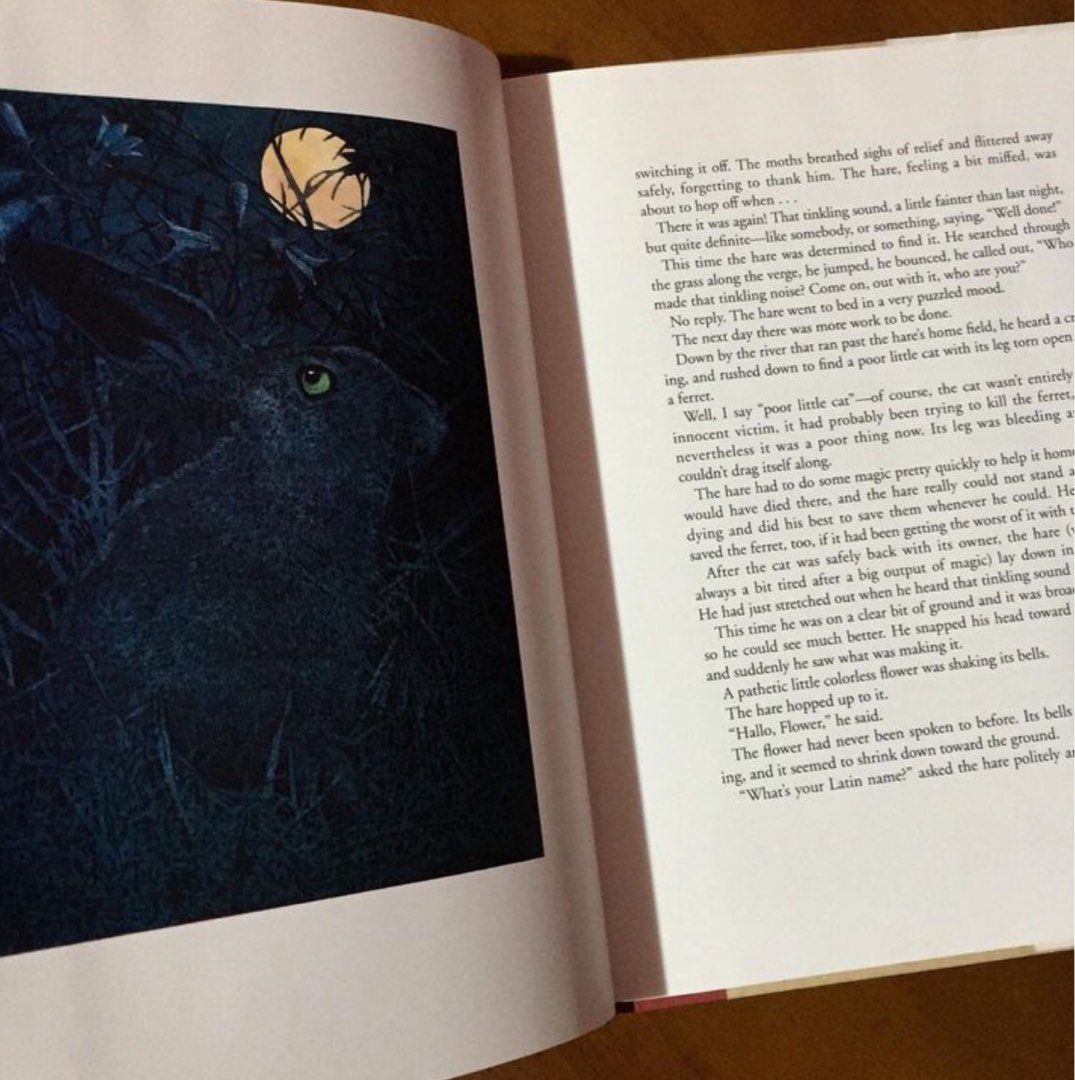 The Magic Hare by Lynne Reid Banks, Illustrated by Barry Moser (Picture ...