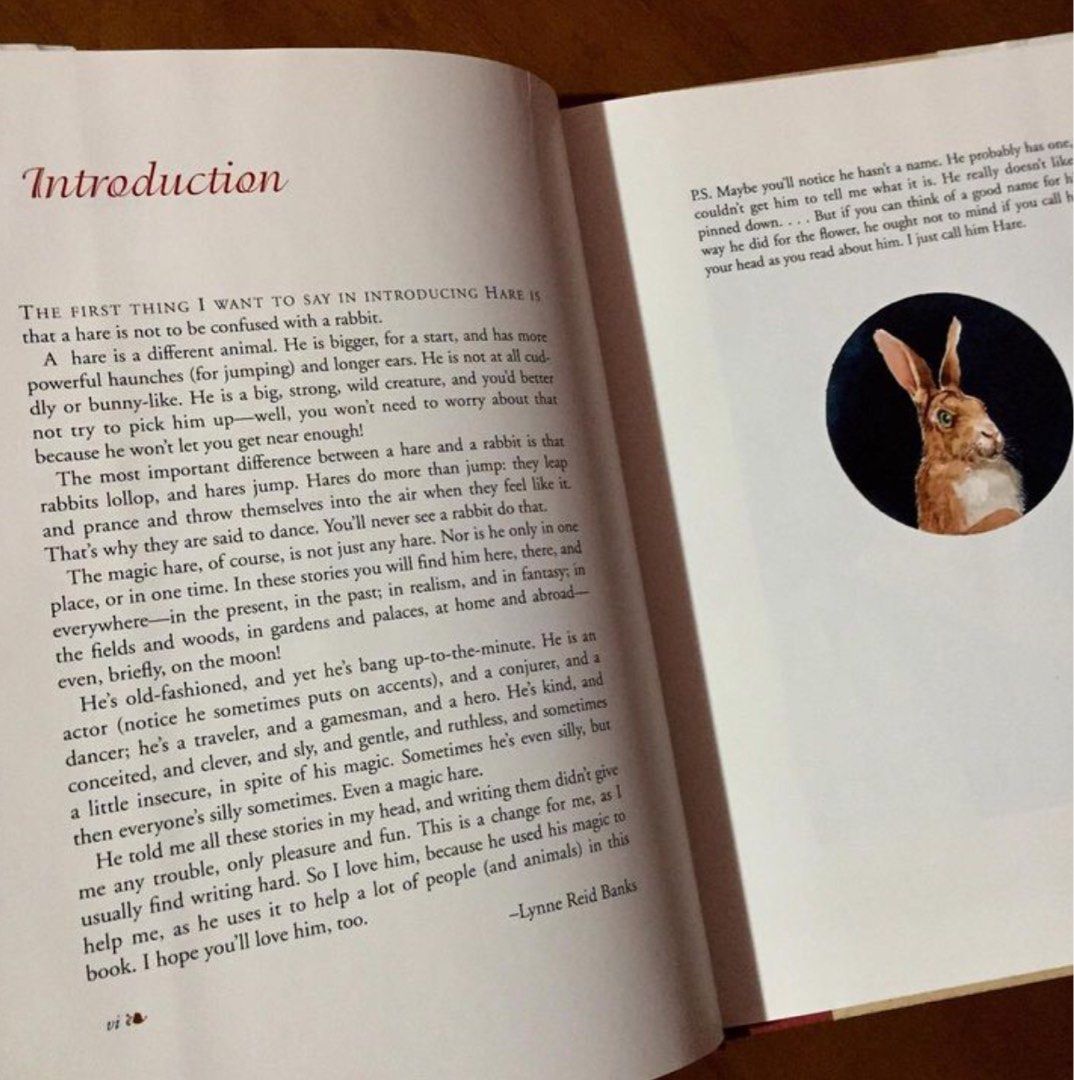 The Magic Hare by Lynne Reid Banks, Illustrated by Barry Moser (Picture ...