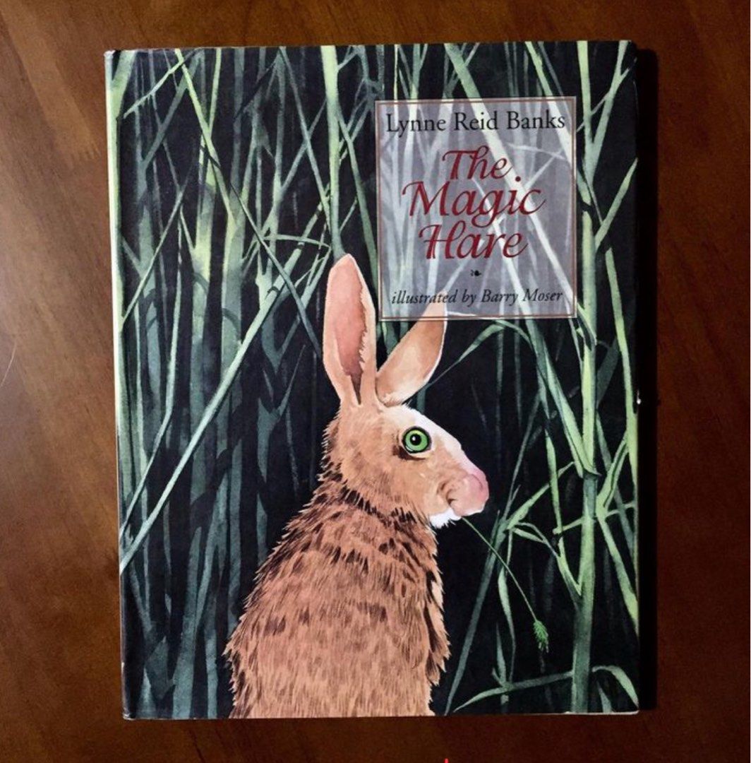 The Magic Hare by Lynne Reid Banks, Illustrated by Barry Moser (Picture ...