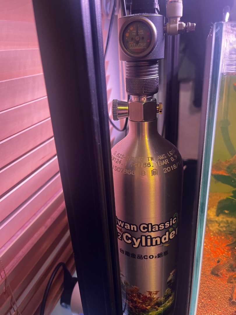 CO2 full set (1L CO2高壓樽 + Intense減壓錶連電磁閥 + Intense止逆閥計泡器 + Intense細化器), 寵物用品, 寵物家品及其他 - Carousell