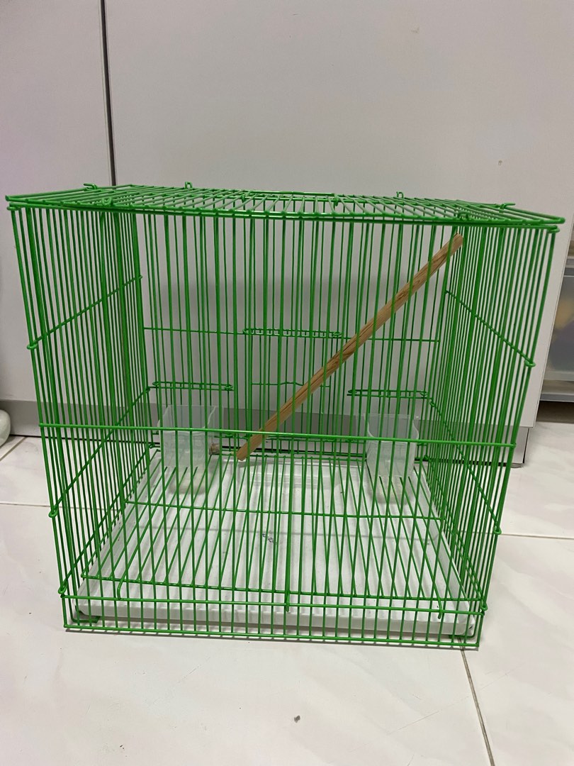 Bird cage, Pet Supplies, Homes & Other Pet Accessories on Carousell