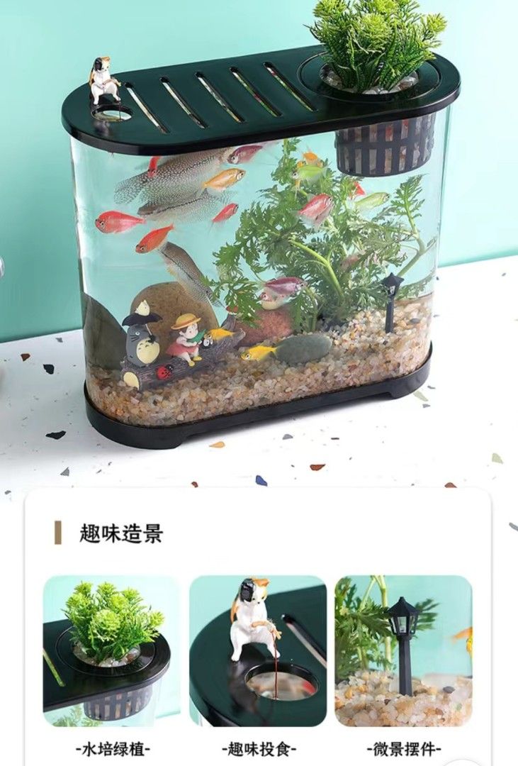 Brand new AS beautiful fish tank, Furniture & Home Living, Home Decor ...