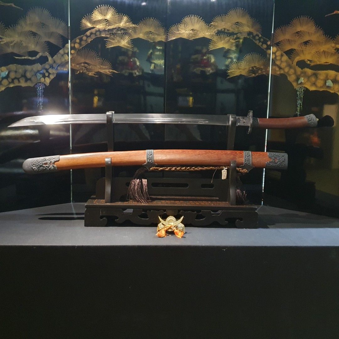 Chinese Sword with a Recurve Blade! (Manually DULLED and for Display ...