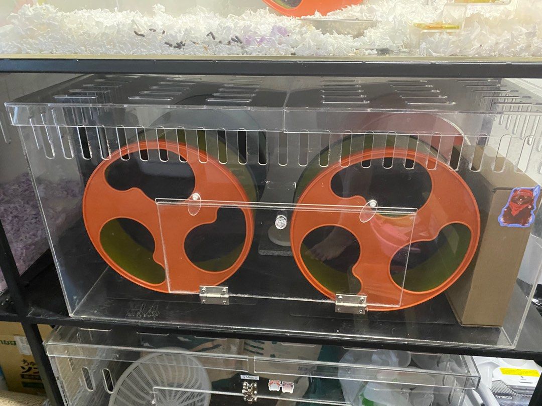 Custom Acrylic Hamster Cage, Pet Supplies, Homes & Other Pet ...