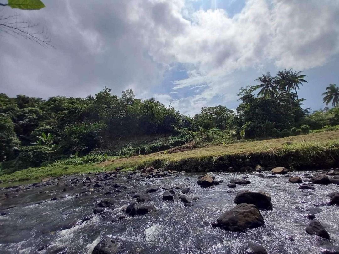 FOR SALE CAVINTI LAGUNA FARM RESORT, Property, For Sale, House & Lot on ...