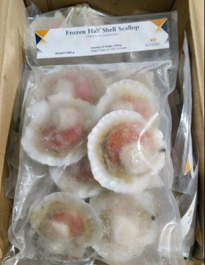 FROZEN HALF SHELL SCALLOP, Food & Drinks, Chilled & Frozen Food on ...