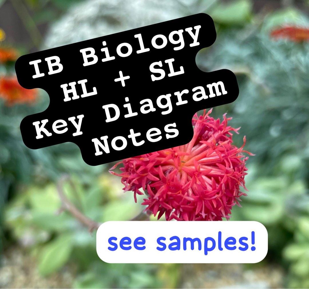 IB Biology Key Diagram Compilation Notes (HL + SL), Hobbies & Toys ...