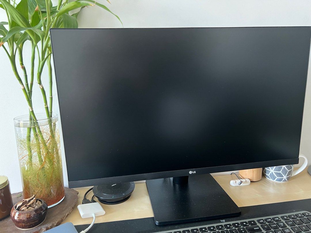 LG Monitor, Computers & Tech, Desktops on Carousell