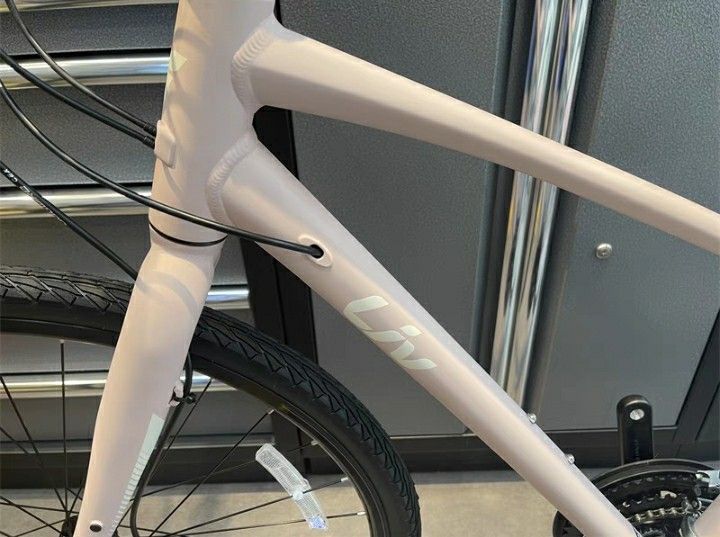 Liv Alight 2 hybrid yr2024 model, Sports Equipment, Bicycles & Parts ...