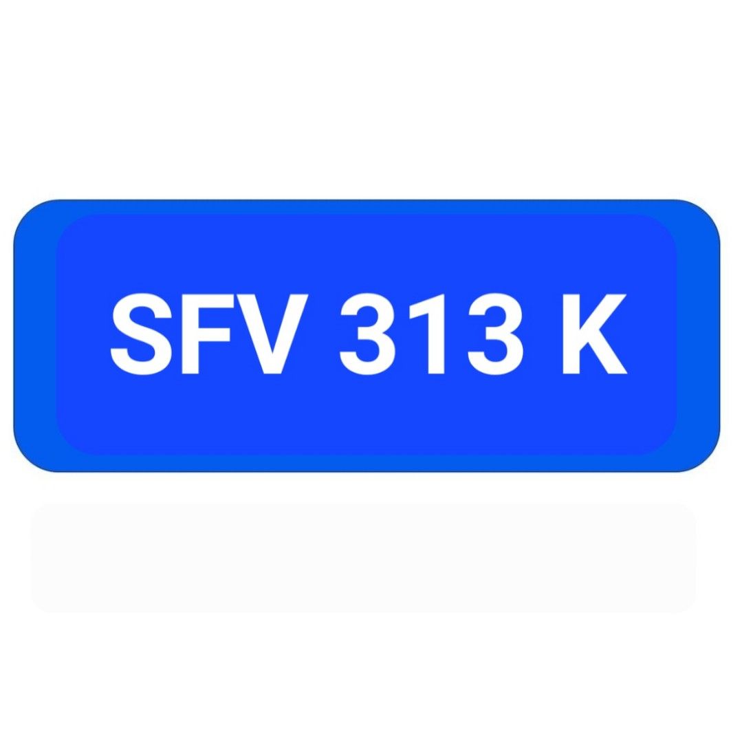 Lucky Number ! SFV 313 K, Car Accessories, Car Plates on Carousell