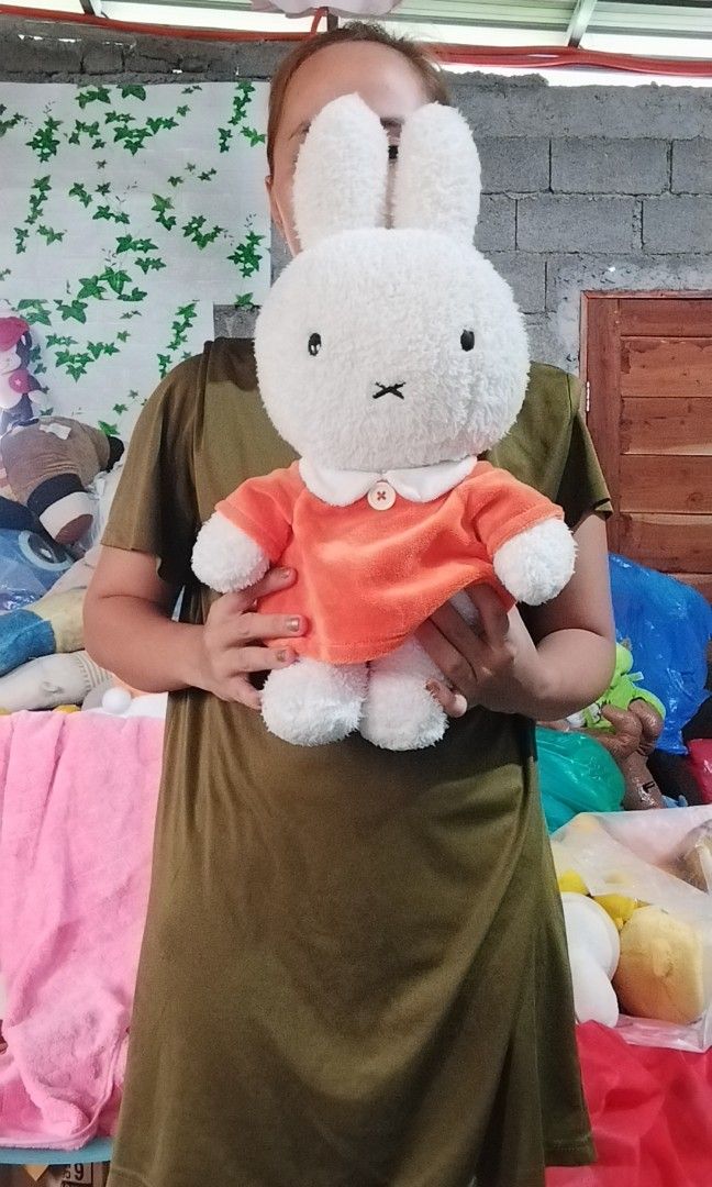 Miffy, Hobbies & Toys, Toys & Games on Carousell