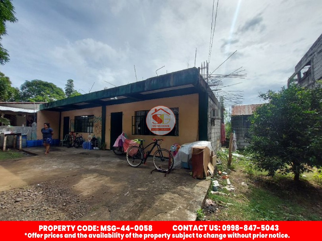 MSG-44-0058 Brgy. Bagong Barrio, PANDI, BULACAN - Foreclosed COMMERCIAL/RESIDENTIAL LOT FOR SALE ...