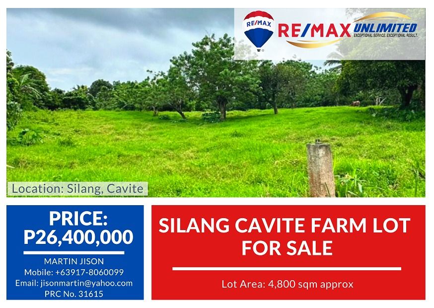 PDM085 - Silang Cavite Farm Lot For Sale, Property, For Sale, Lot on ...