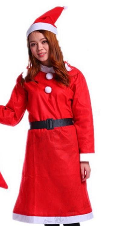 Santa Rina Costume, Everything Else on Carousell