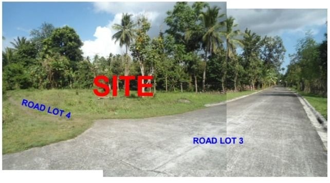 Vacant Lot For Sale in Block 5, corner Road Lot 3 and Road Lot 4 ...