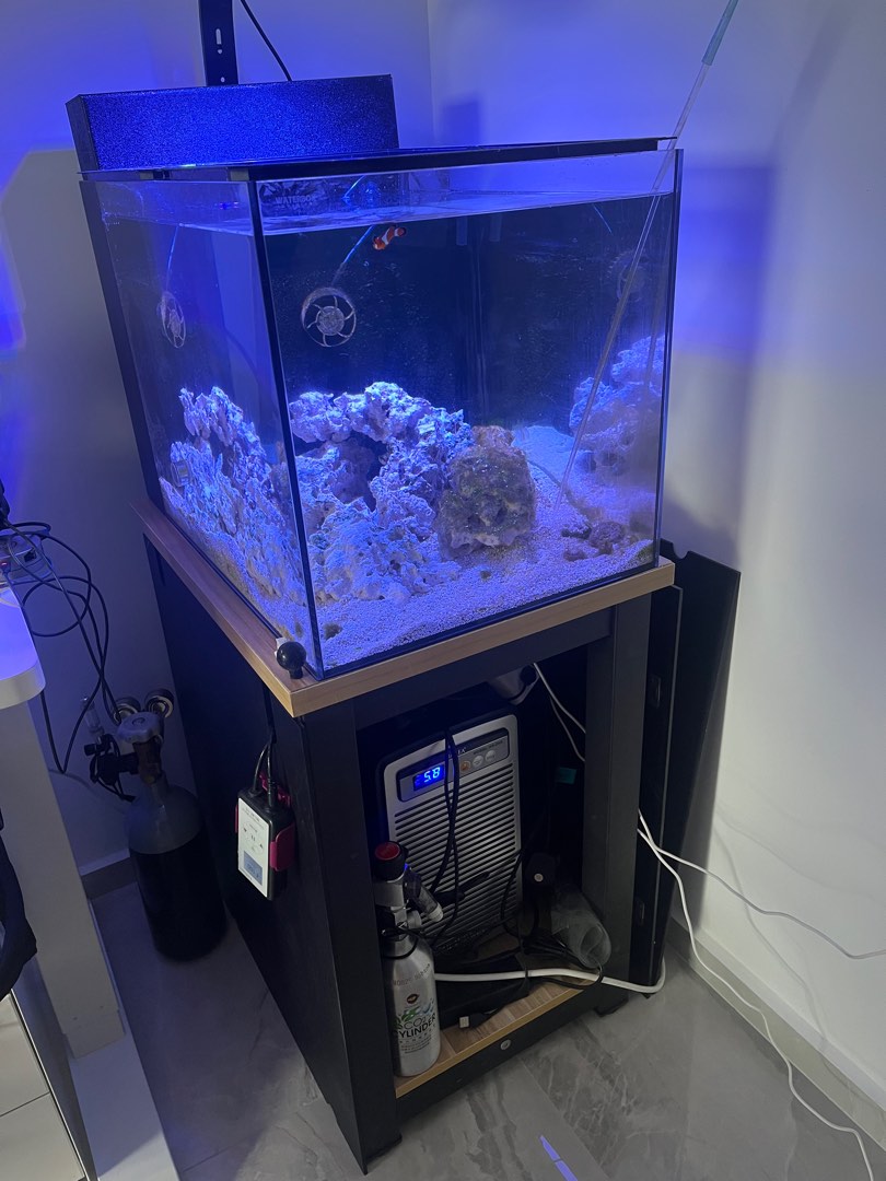 Waterbox Reef tank with stand, Pet Supplies, Homes & Other Pet ...