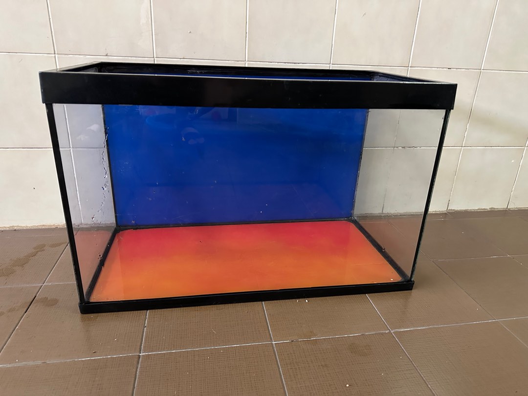 2 Feet Fish Tank, Pet Supplies, Homes & Other Pet Accessories on Carousell