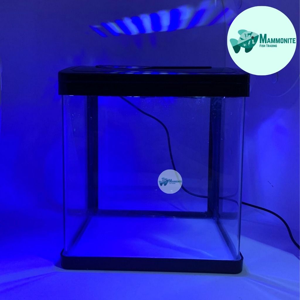 Aquarium Fish Tank Built-In LED Lamp with Filter Pump Infinity PY-200 ...