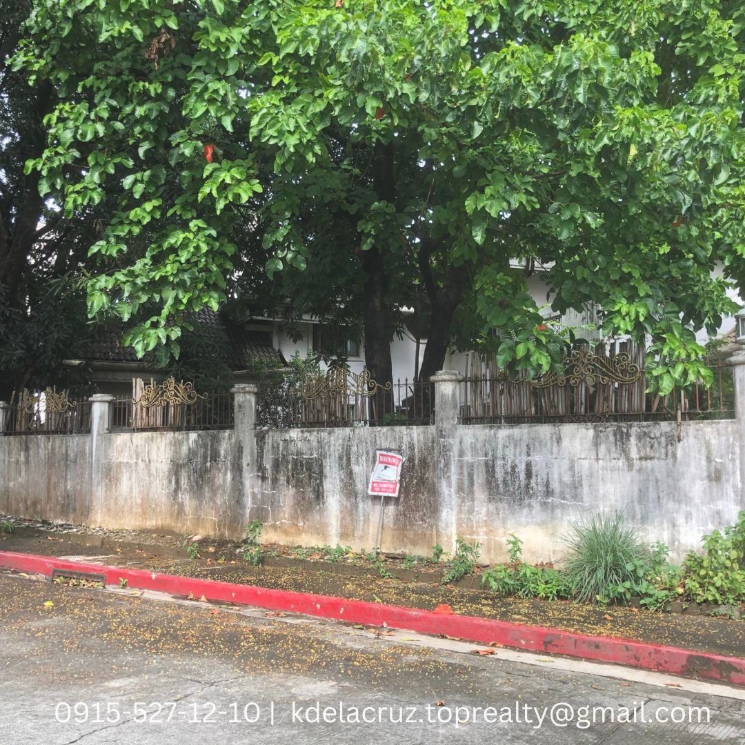 Beautiful CORNER LOT with Old House for Sale in Acropolis Subdivision ...