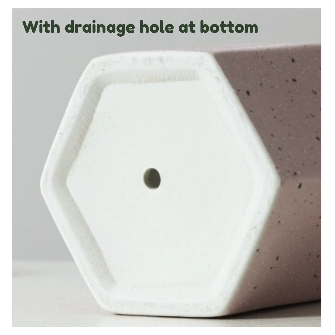Garden Ceramic Pots hexagonal stylish with drainage hole ($6 for both ...