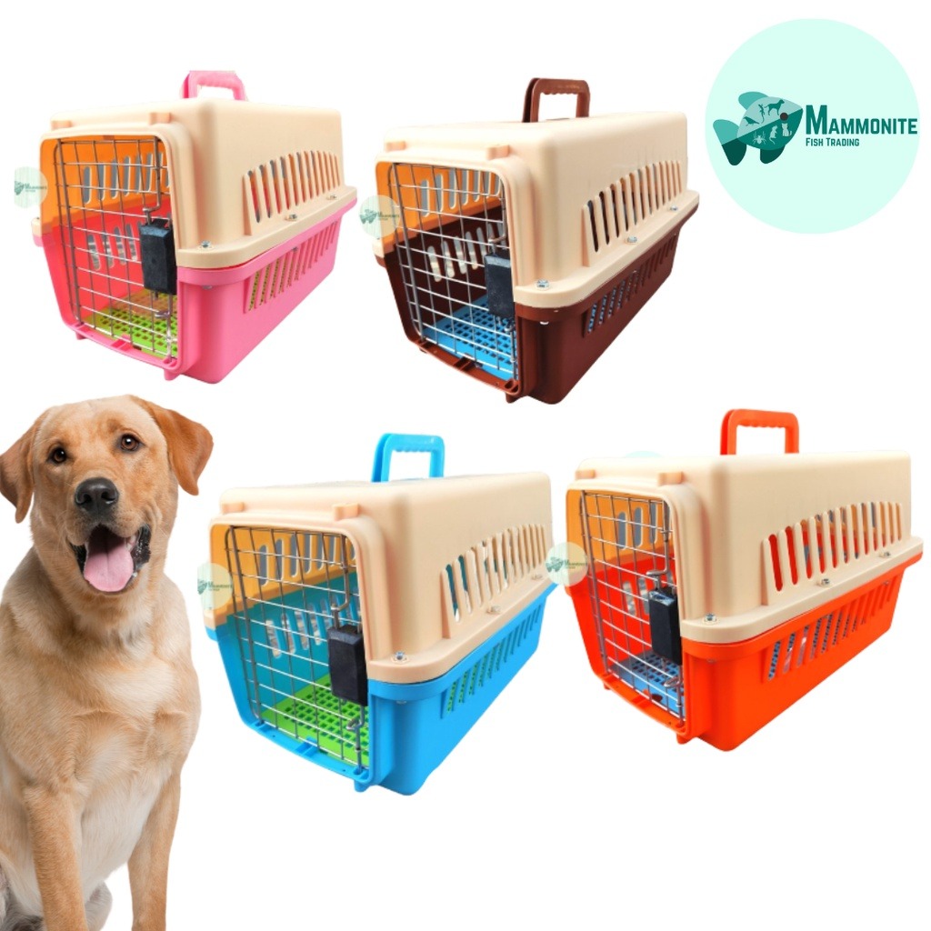Colorful Pet Carrier Box Container Travel Crates For Dog Cat Bird With ...
