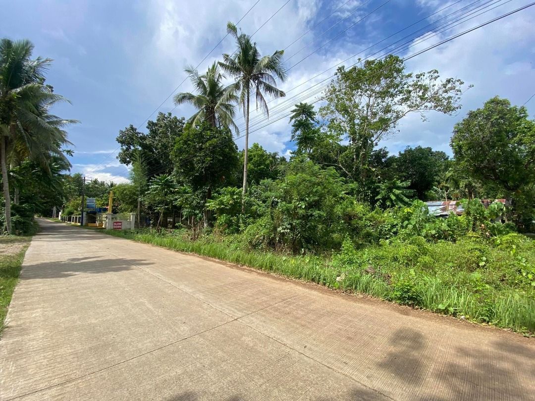 COMMERCIAL LOT FOR SALE AT BINGAG, DAUIS, PANGLAO ISLAND, BOHOL ...