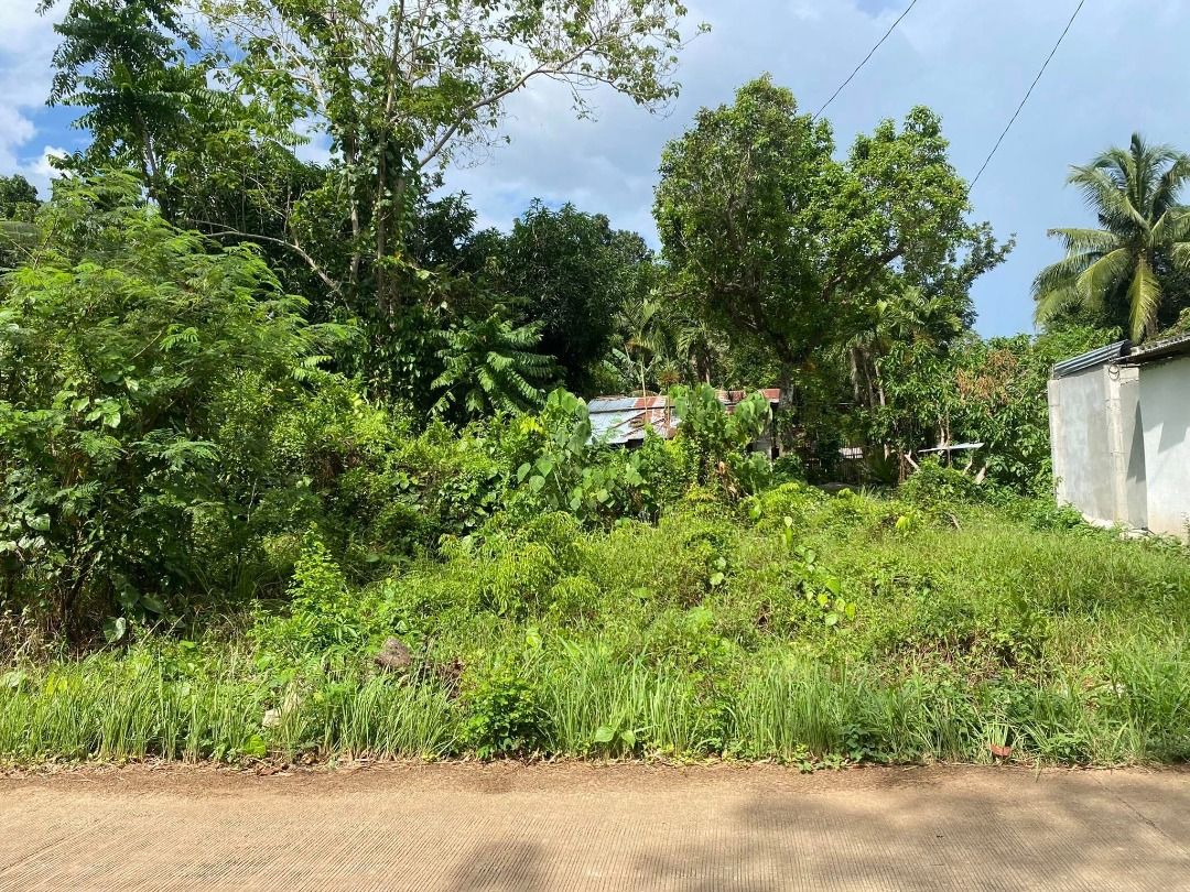 COMMERCIAL LOT FOR SALE AT BINGAG, DAUIS, PANGLAO ISLAND, BOHOL ...