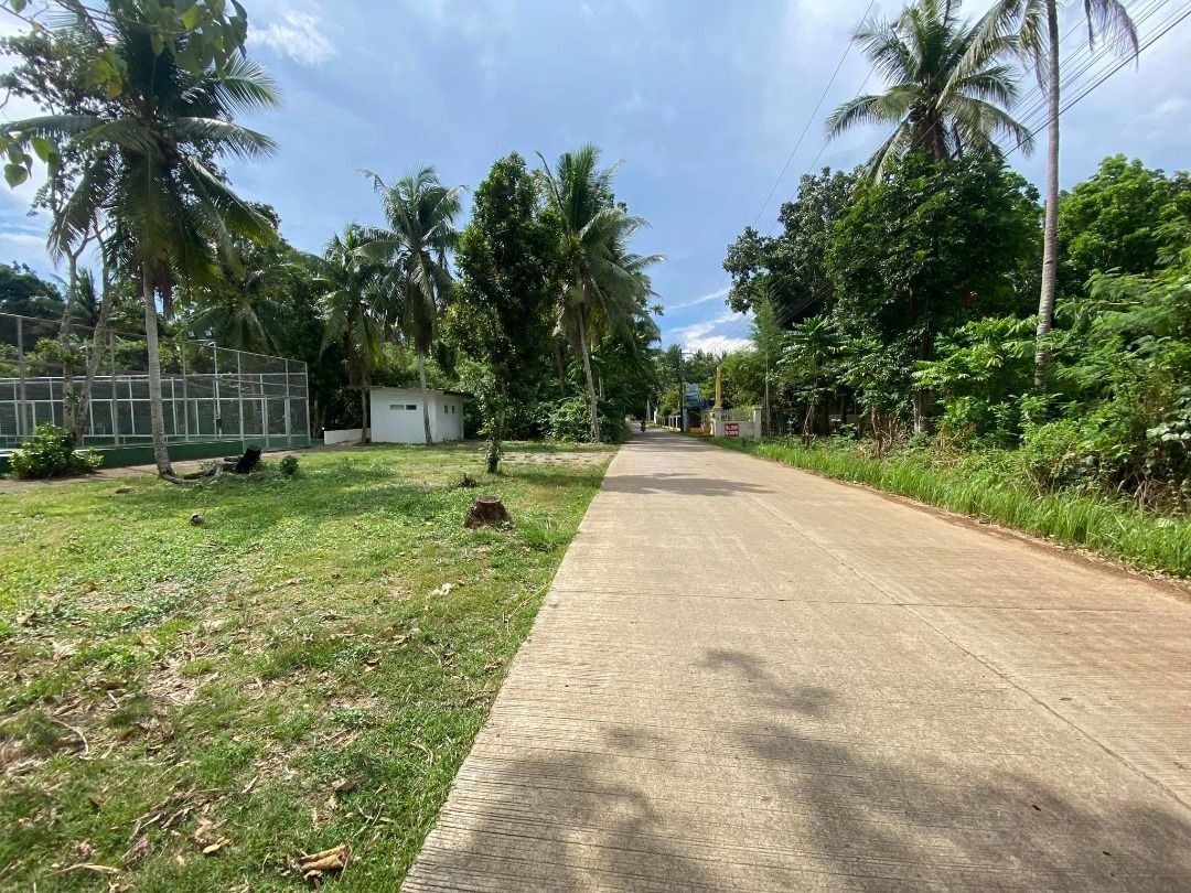 COMMERCIAL LOT FOR SALE AT BINGAG, DAUIS, PANGLAO ISLAND, BOHOL ...