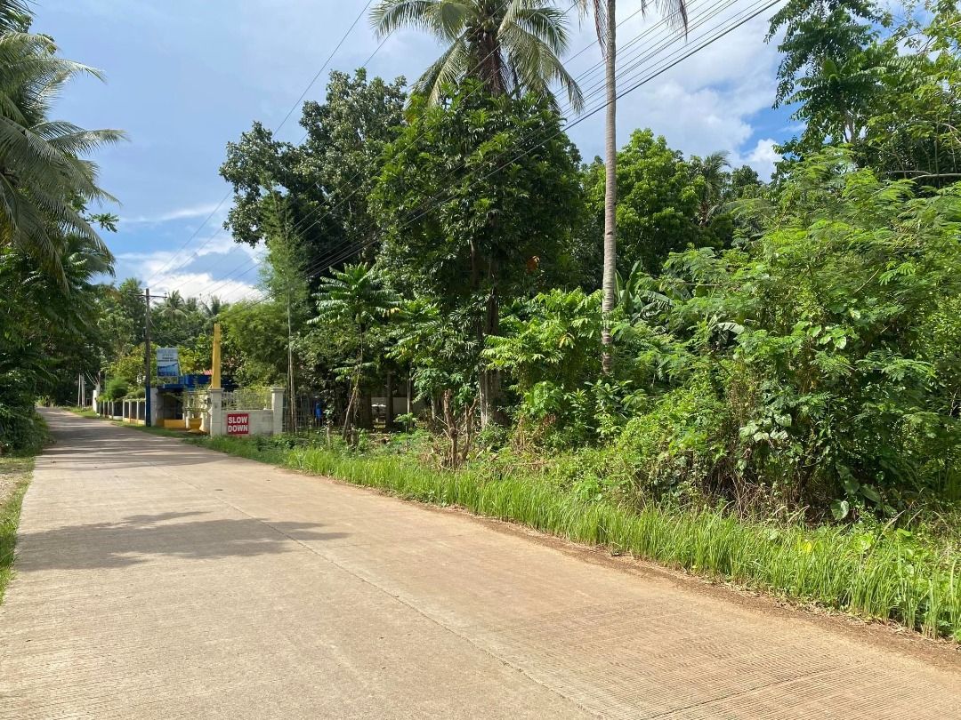 COMMERCIAL LOT FOR SALE AT BINGAG, DAUIS, PANGLAO ISLAND, BOHOL ...