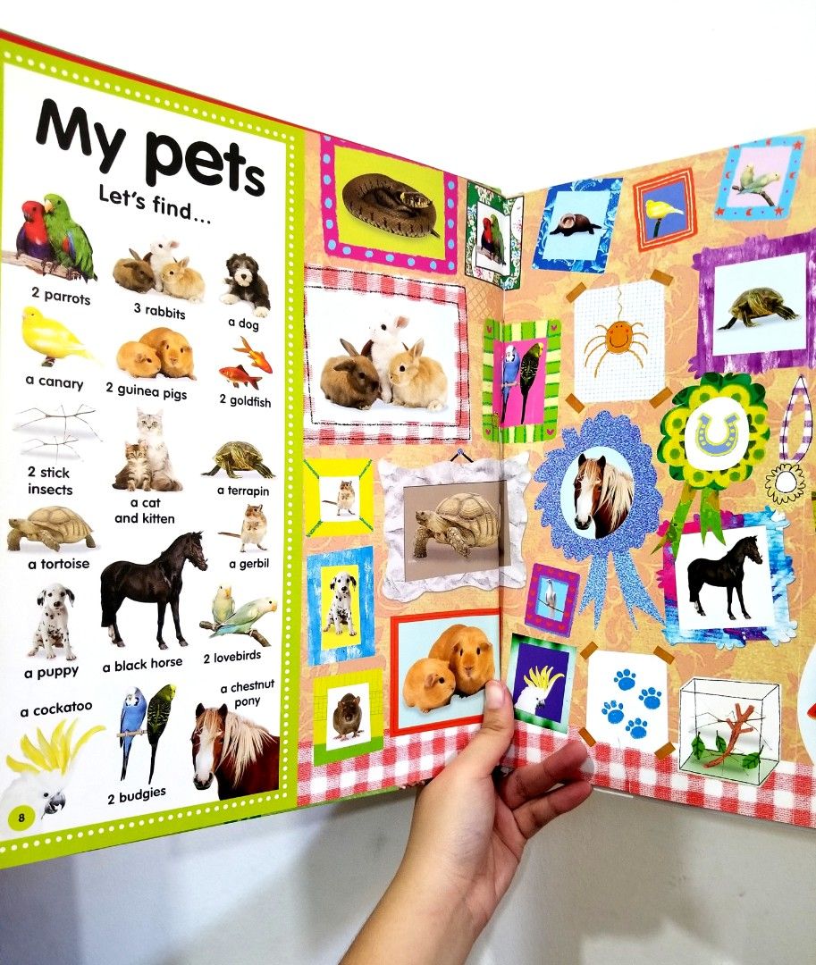 DK Hide and Seek Animals Children's Books, Hobbies & Toys, Books ...