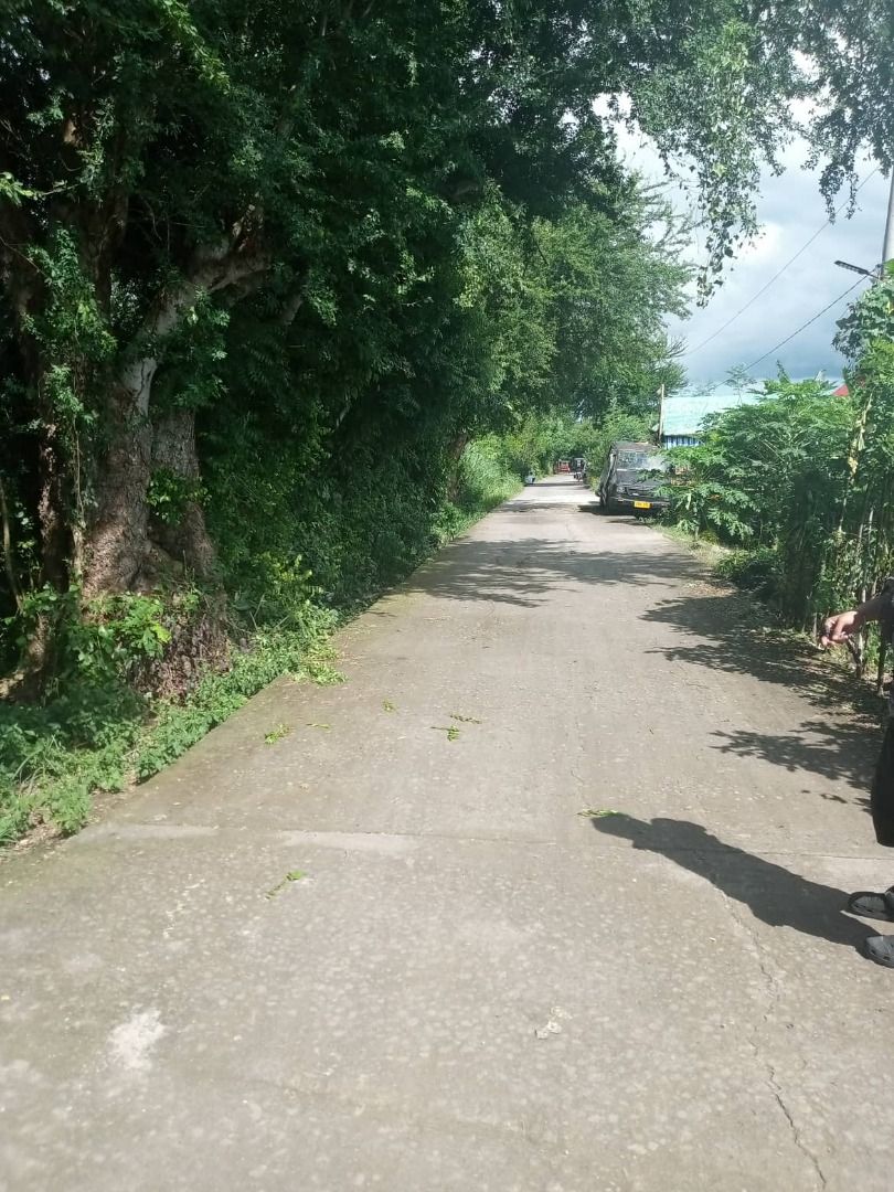 FOR SALE! 60,485sqm / 6 Hectares Farm Lot at Brgy Wawa, Lumban Laguna ...